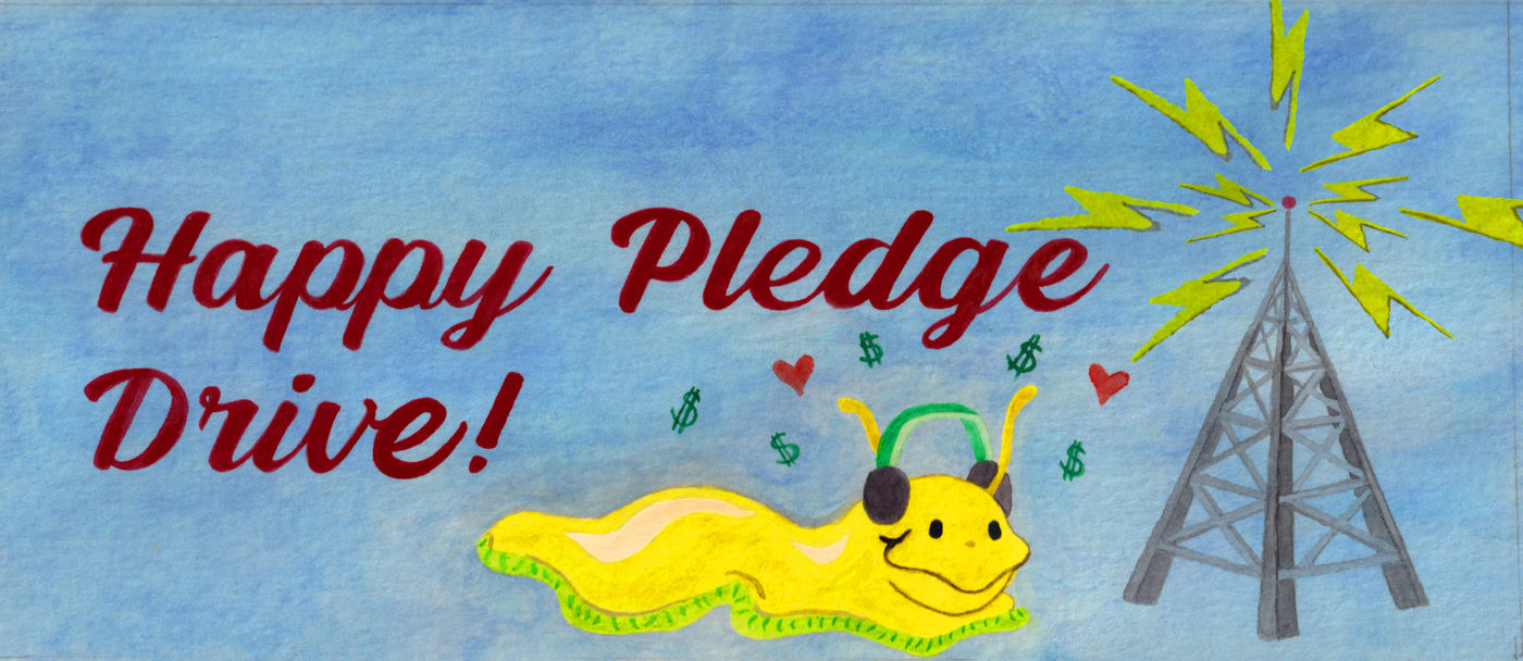 KZSC Santa Cruz - From The Trees To The Seas, 88.1 FM